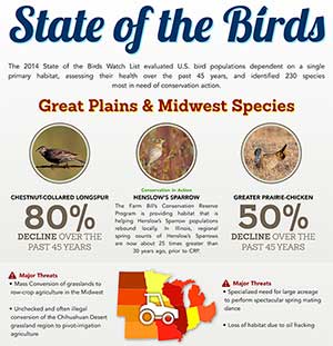 Download Bird Conservation Infographics