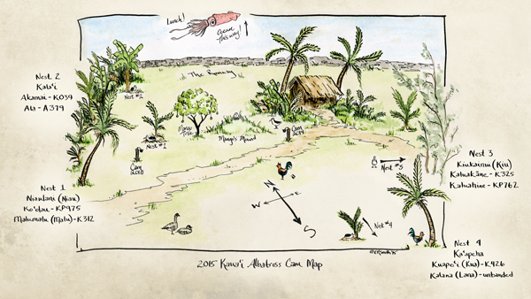 2015 Laysan Albatross Map Wallpaper Download