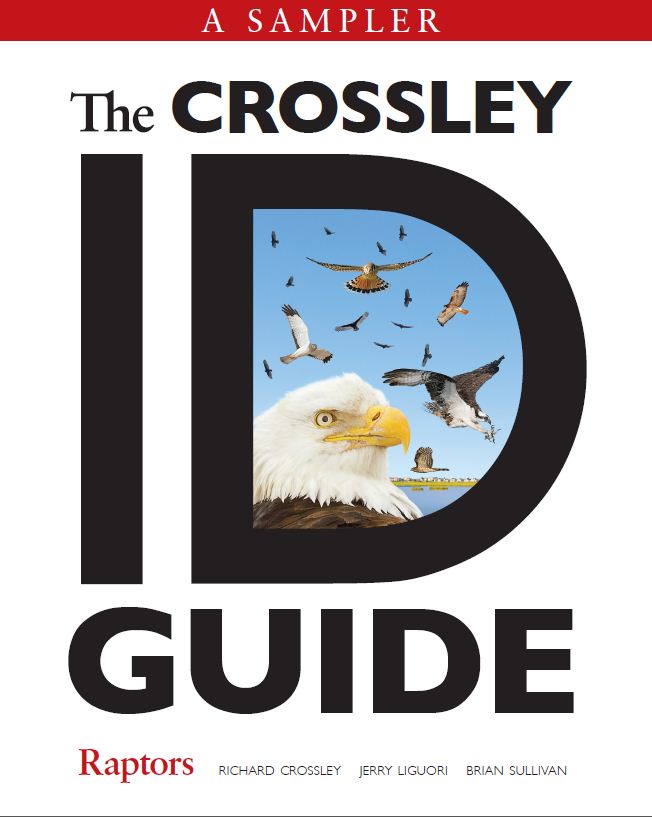 Download 16 Plates from the New Crossley ID Guide: Raptors