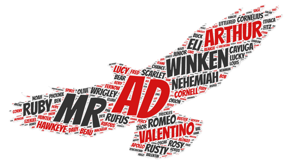 Vote to Name Big Red's New Mate