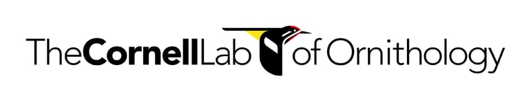 Free Owl Sounds from the Cornell Lab of Ornithology