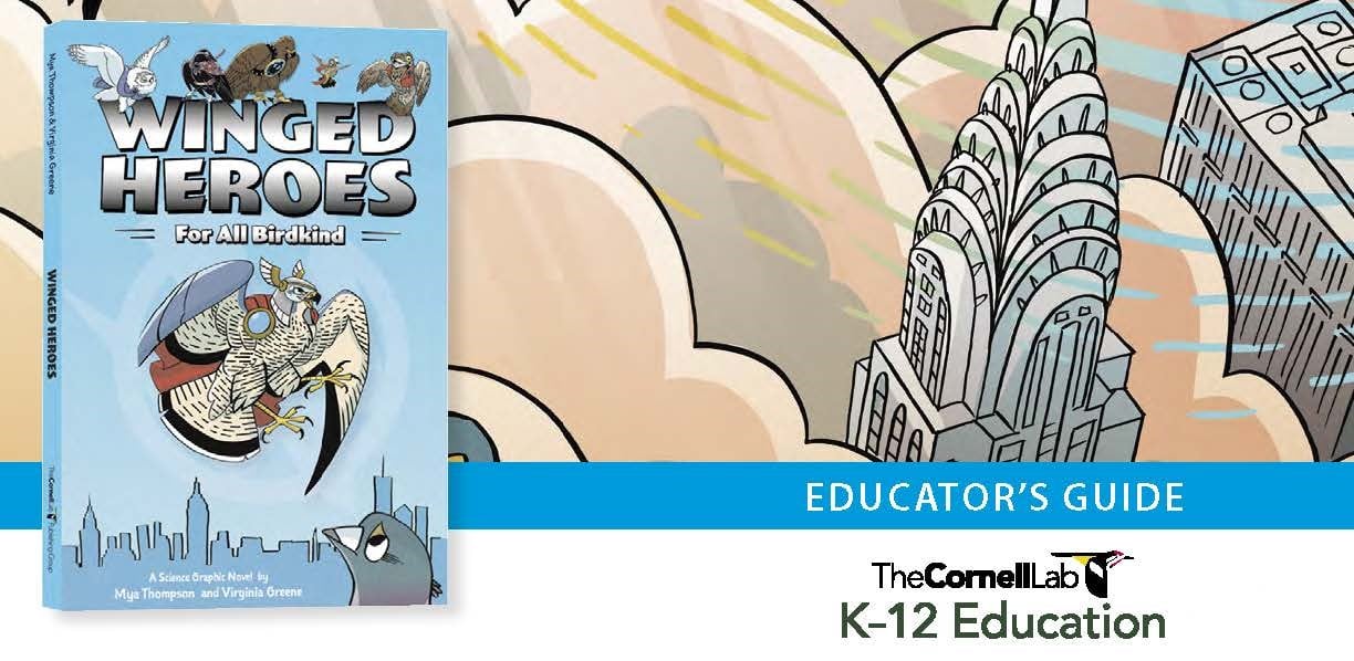 Free Download: Educator's Guide Winged Heroes