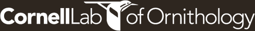 Introducing BirdWise: Cornell Lab's Newest Bird ID Training Tool