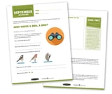 Free Download: Feathered Friends