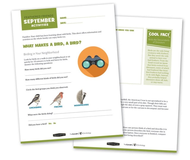 Free Download: Feathered Friends