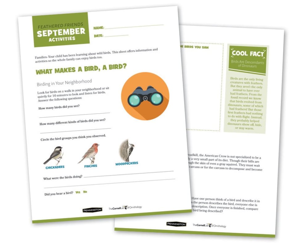 Free Download: Feathered Friends