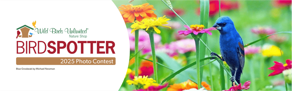 Wild Birds Unlimited Birdspotter Photo Contest 2025 winners