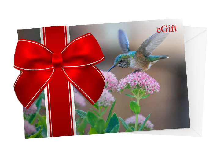 Sign up to continue to receive the Cornell Lab eNews